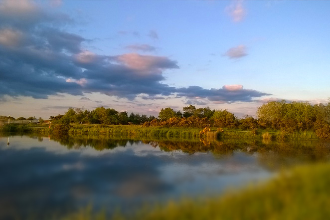Lough Boora Discovery Park - Visit Kinnitty